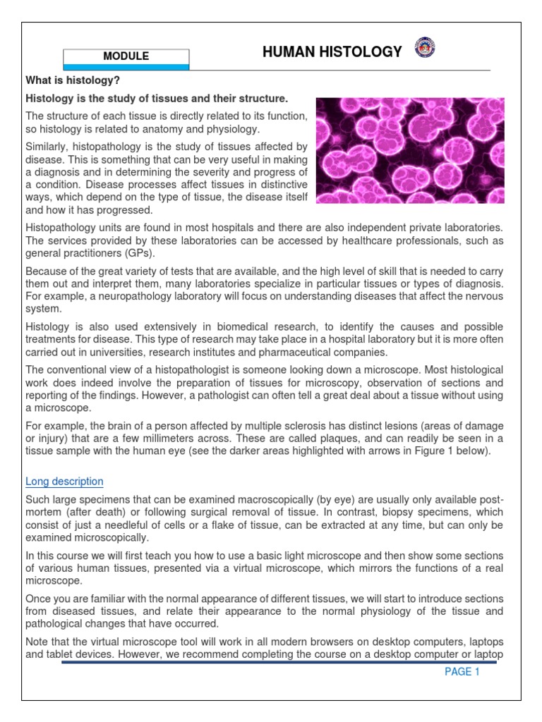 Chapter 1 Human Histology - Introduction | PDF | Cell (Biology ...
