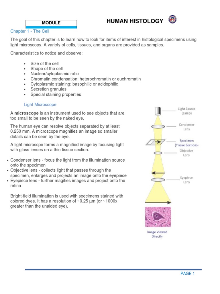 Chapter 2 Human Histology - Cell | PDF | Staining | Laboratory Techniques