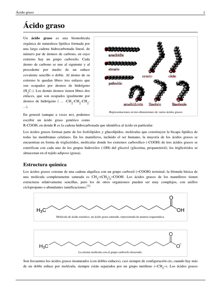 B1 Ácidos Grasos | PDF | Ácido graso | Compuestos orgánicos