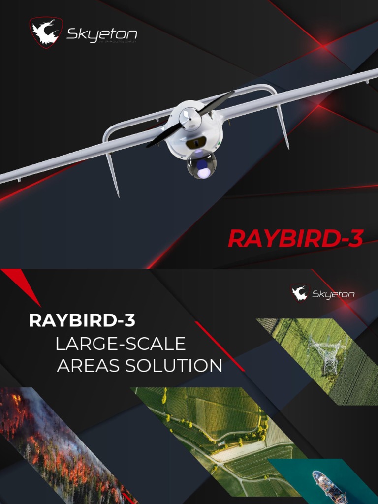 Skyeton Raybird-3 | PDF