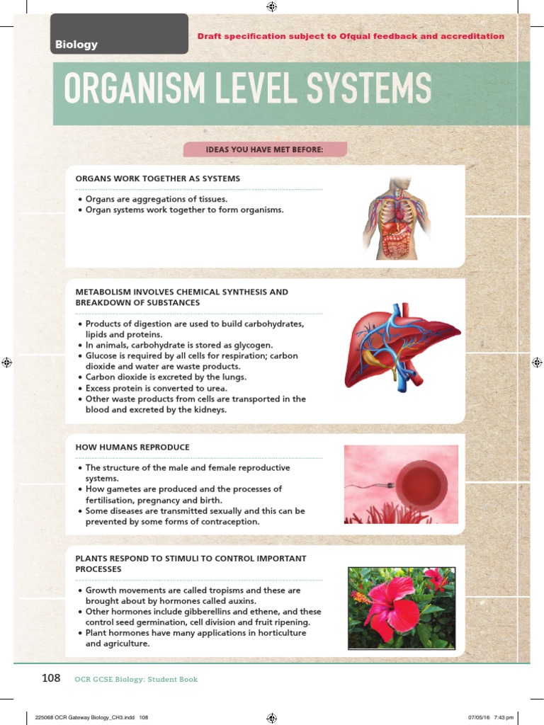 Collins OCR Gateway Biology - CH3 | PDF | Neuron | Nervous System