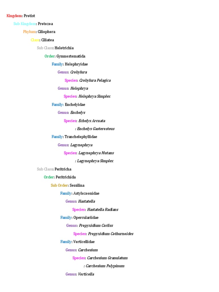 Kingdom of (Protist | PDF | Taxa | Biology