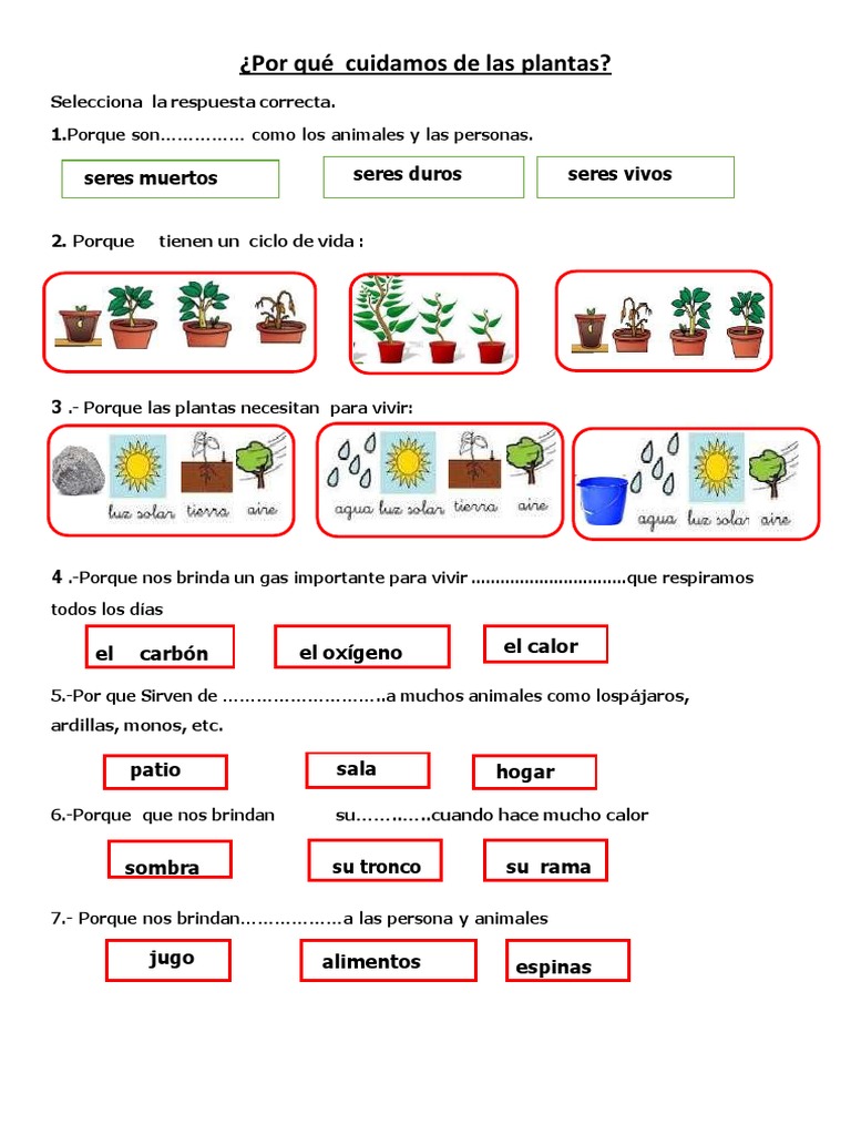 Uso de Las Plantas | PDF | Salud y bienestar | Ciencia y matemáticas