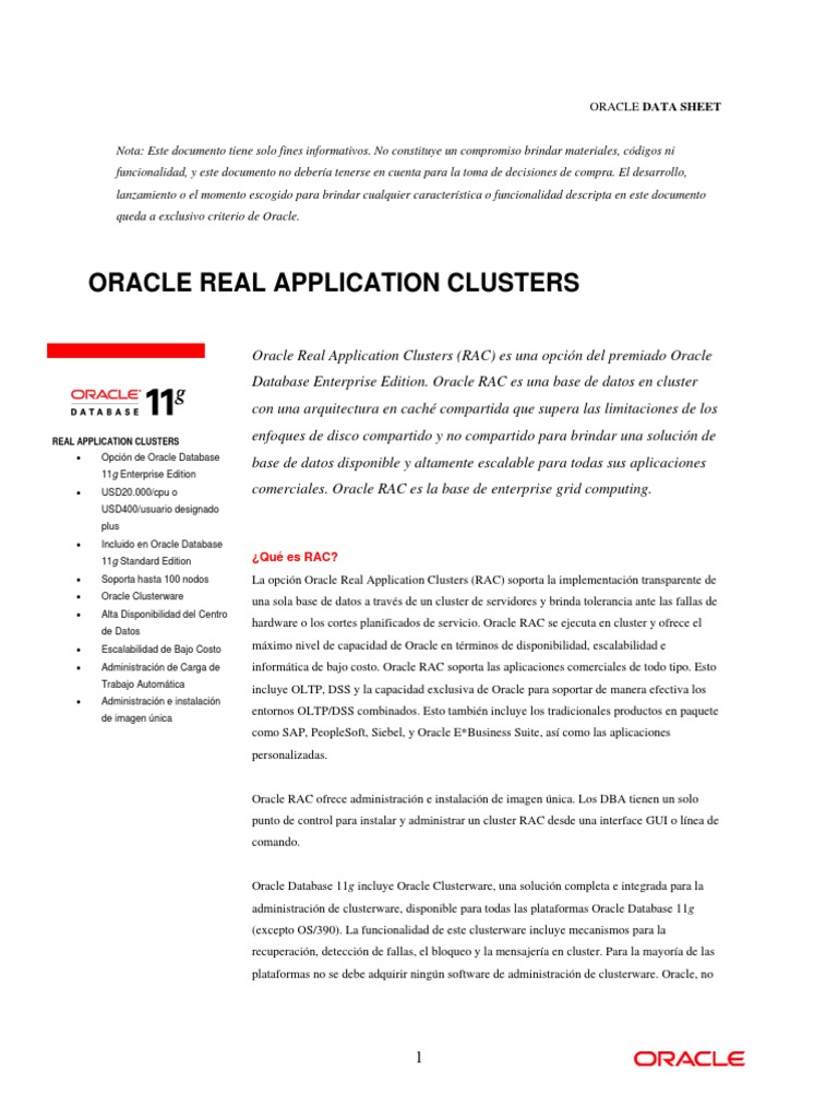 Oracle Real Application Clusters: ¿Qué Es RAC? | PDF