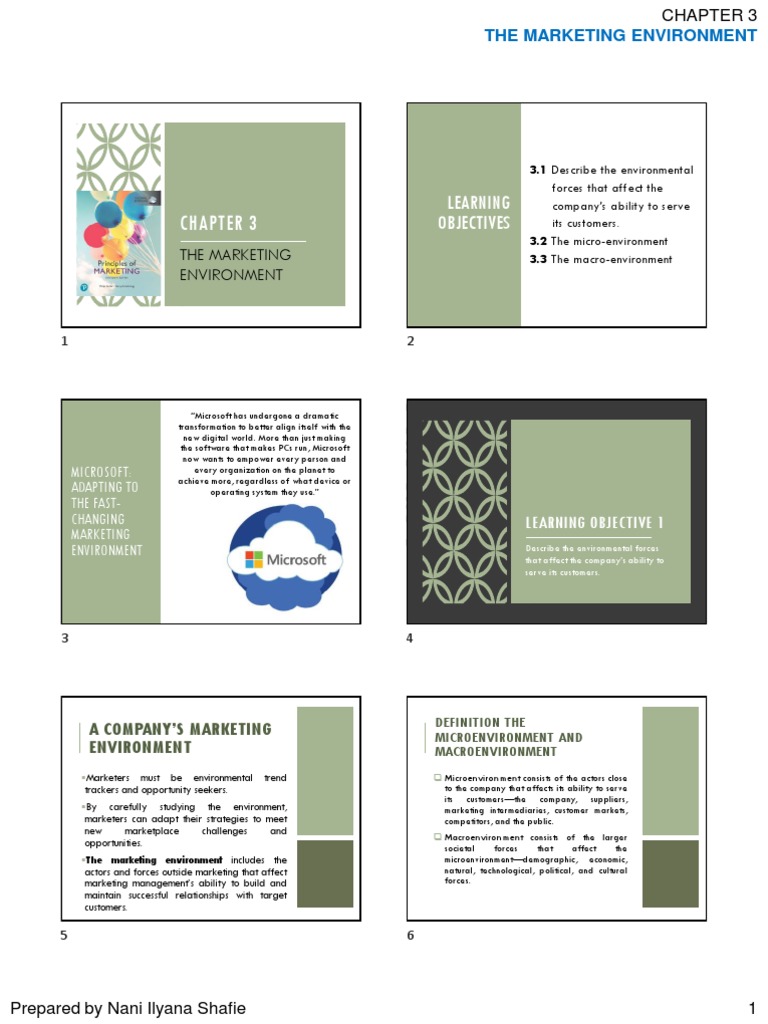 Chapter 3 The Marketing Environment | PDF | Marketing | Business Process