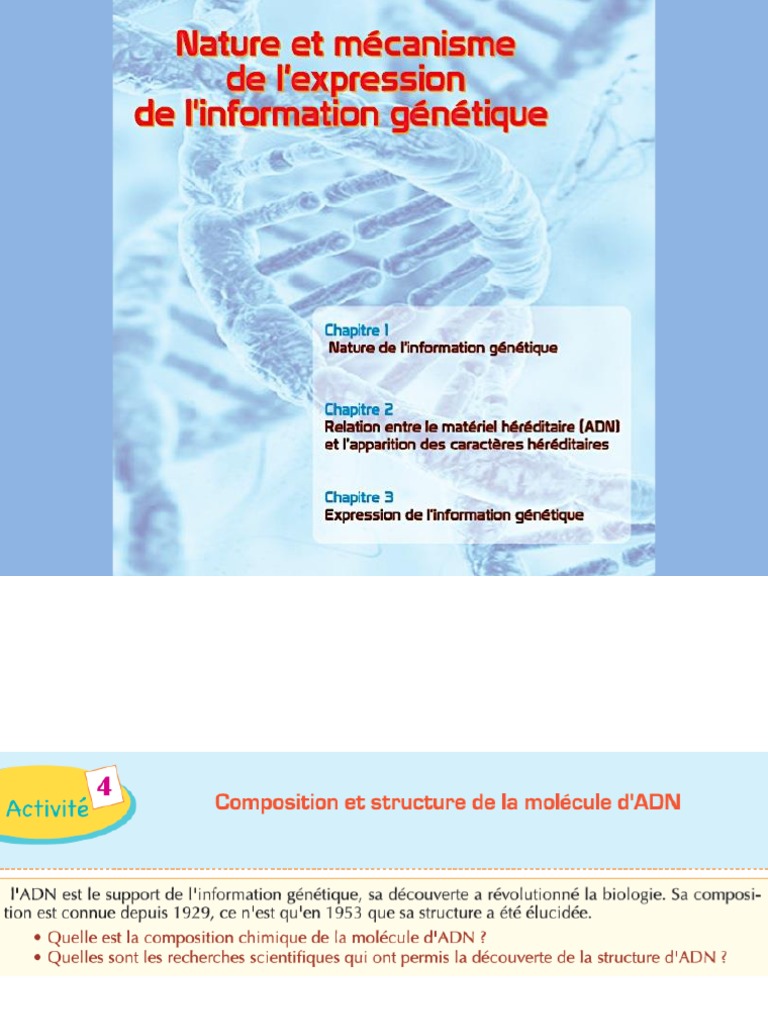 Cours2 - @ - Inf - Gen - 1SM Biof Partage. | PDF