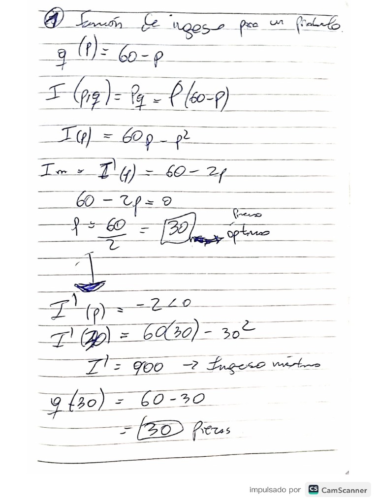 Exámen Calculo - Claudia Cepeda | PDF