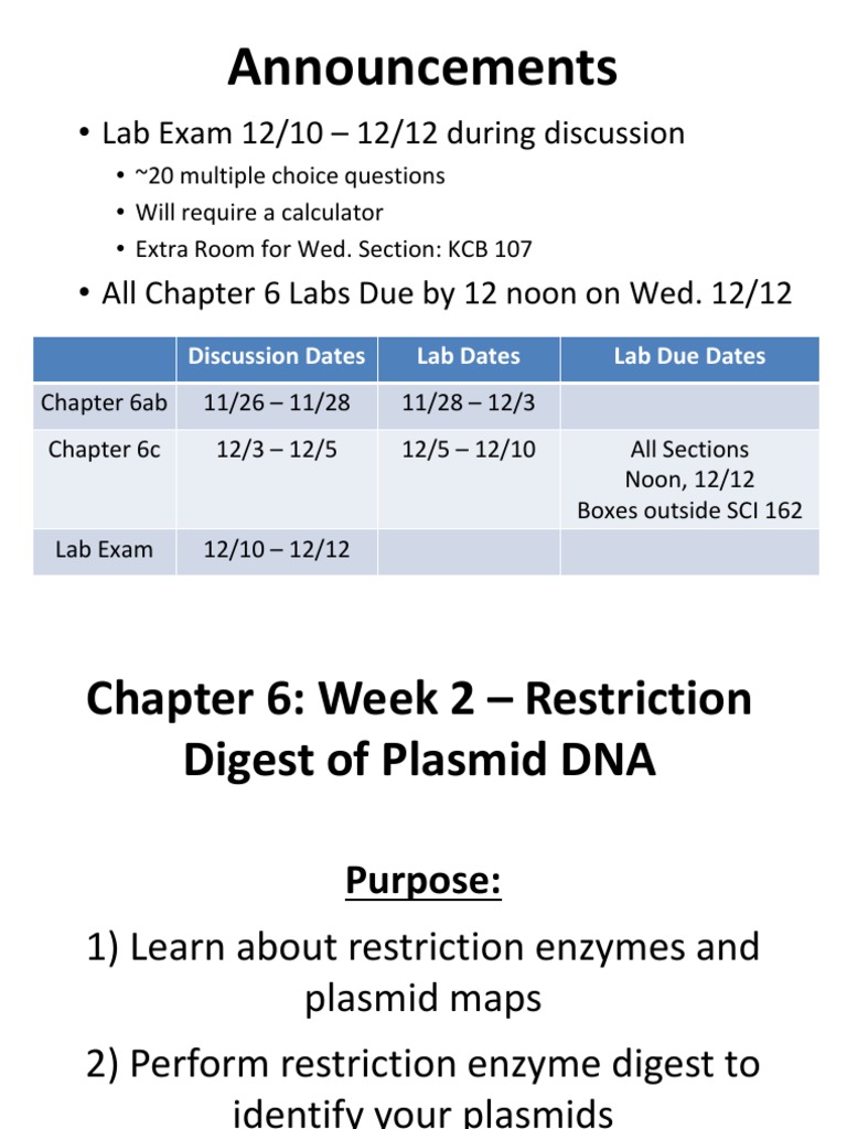 Chapter6B Discussion | PDF | Restriction Enzyme | Agarose Gel ...