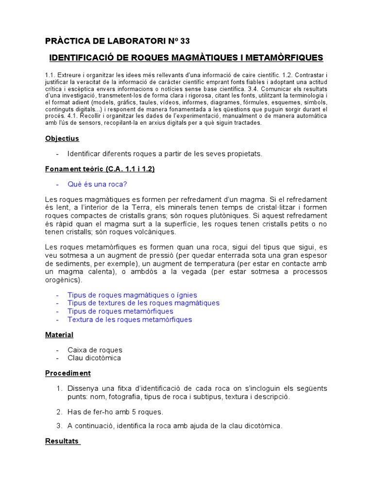 Prã Ctica de Laboratori Nâº 33 | PDF