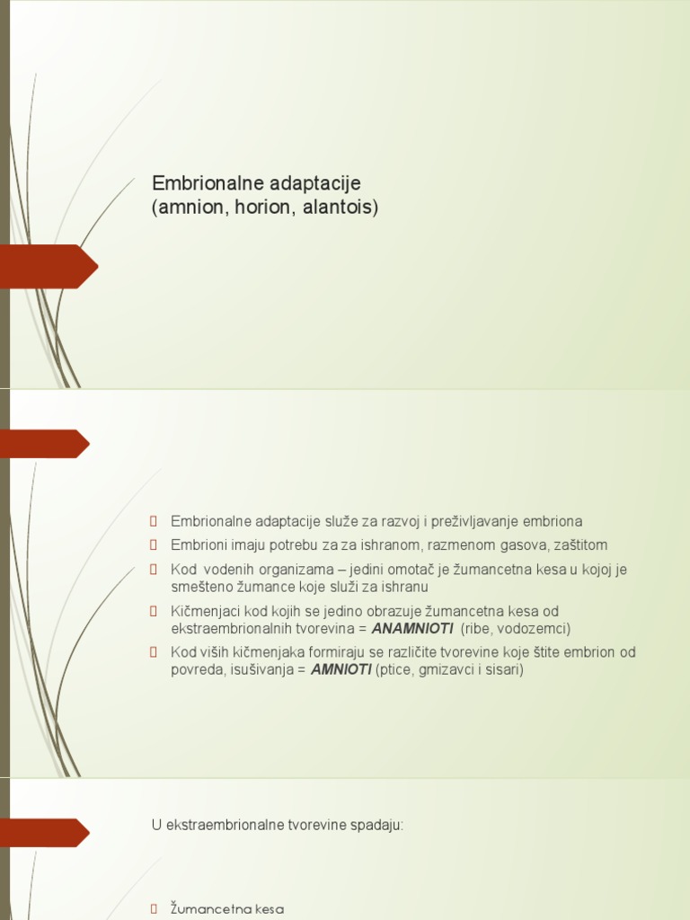 embrionalne adaptacije | PDF