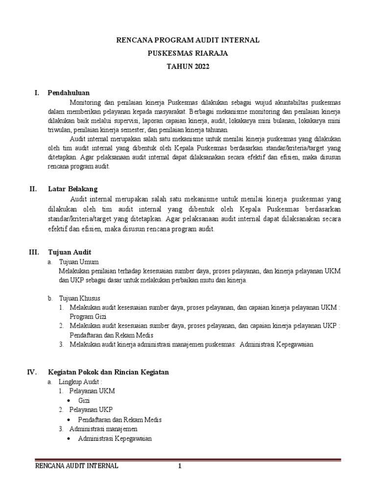 Rencana Program Audit New | PDF