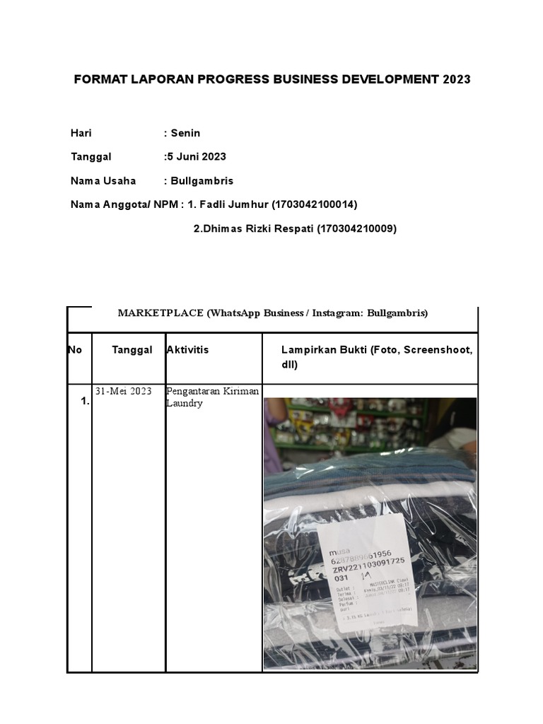 Format Laporan Progress Business Development 2023 | PDF | Bisnis