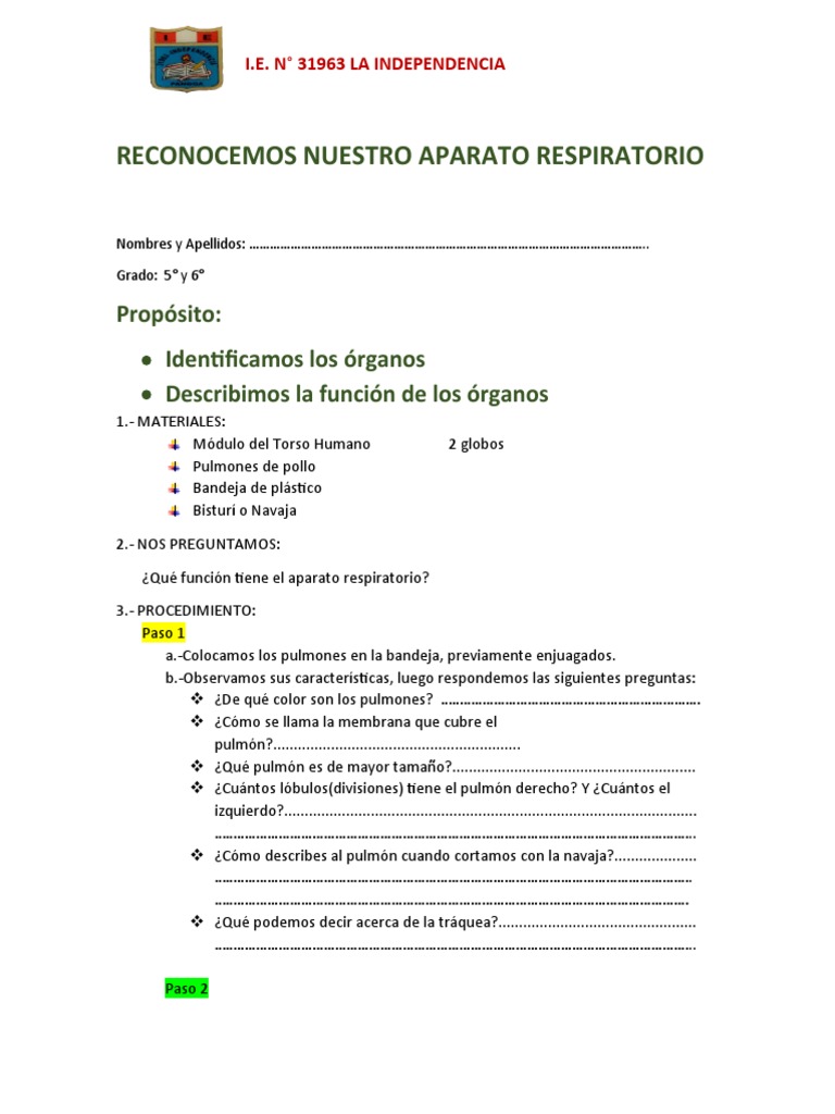 EXPERIMENTO N°1 CYT | PDF | Pulmón | Órgano (anatomía)