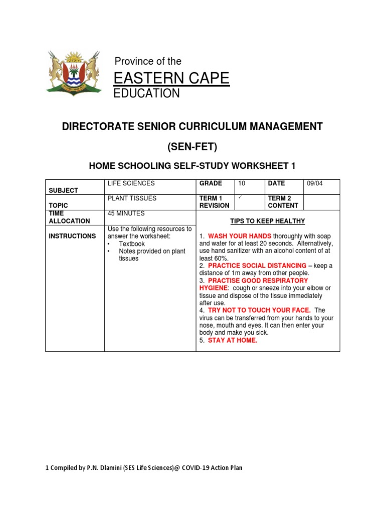 Life Sciences Grade 10 Worksheet 1 Plant Tissues | PDF | Tissue ...