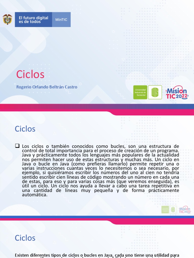 B Ciclos | PDF | Java (lenguaje de programación) | Programación de computadoras