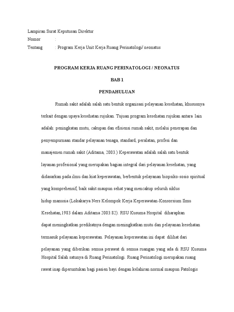 Program Kerja Ruang Neonatus | PDF