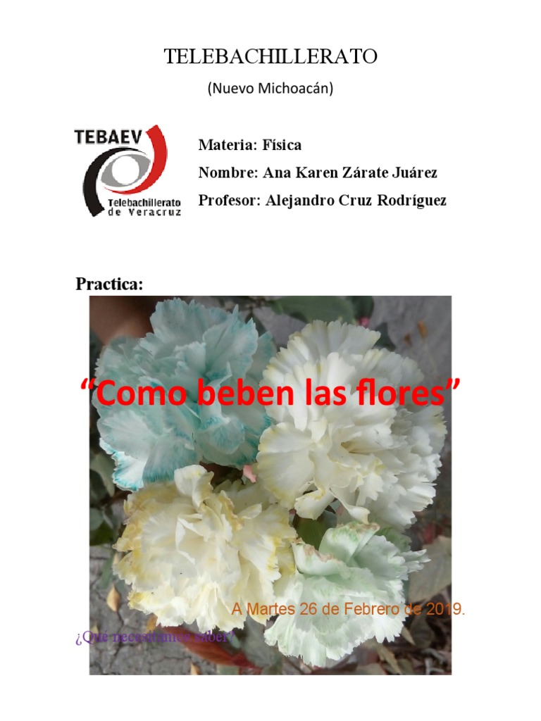 Práctica - Como Beben Las Flores FISICA | PDF