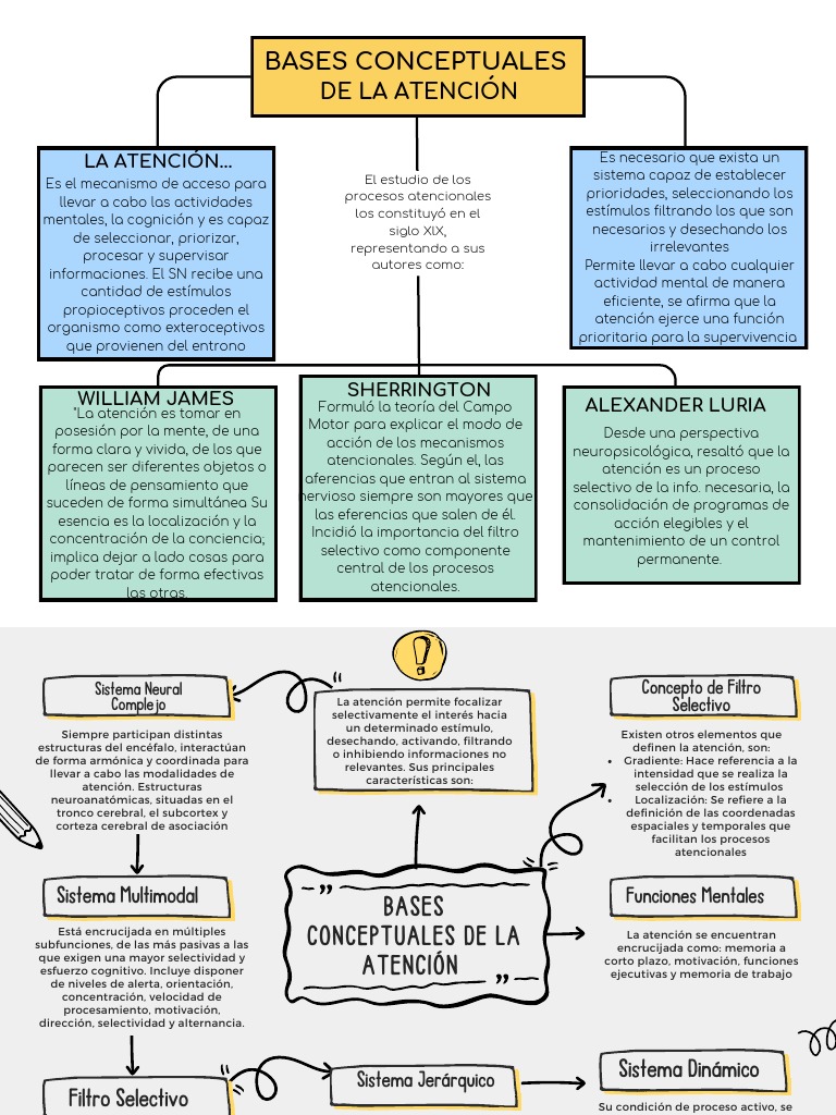 Bases Conceptuales de La Atención | PDF
