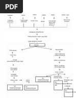 LP Infark Lakunar | PDF