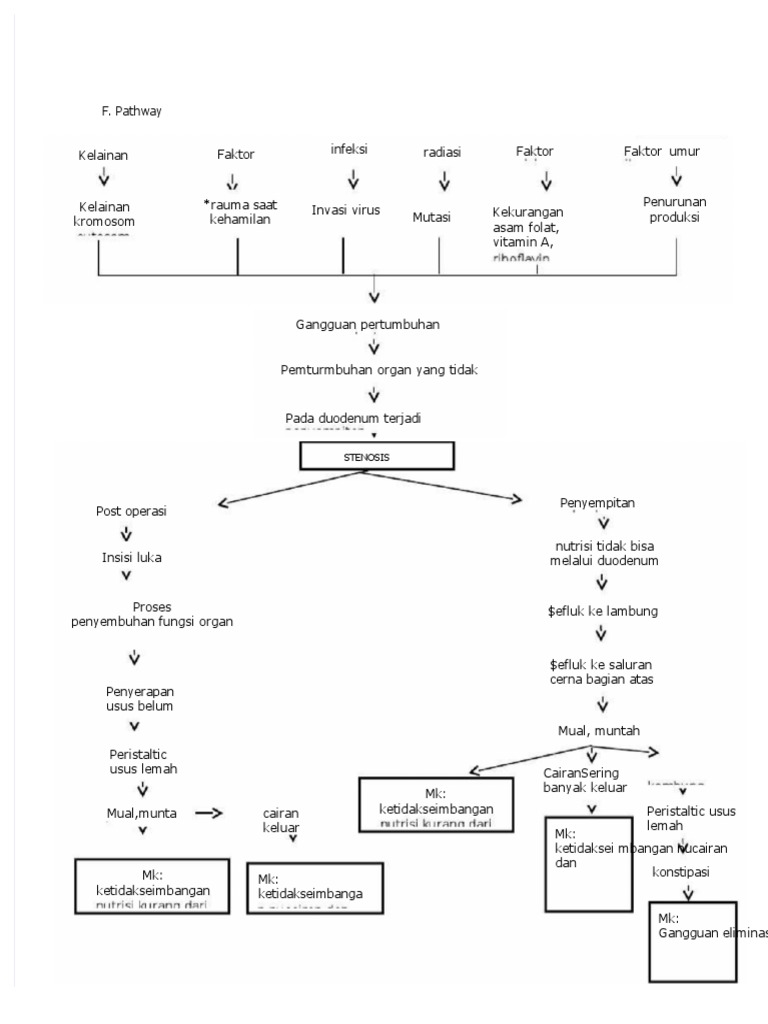 PDF Pathway Stenosis Duodenum | PDF