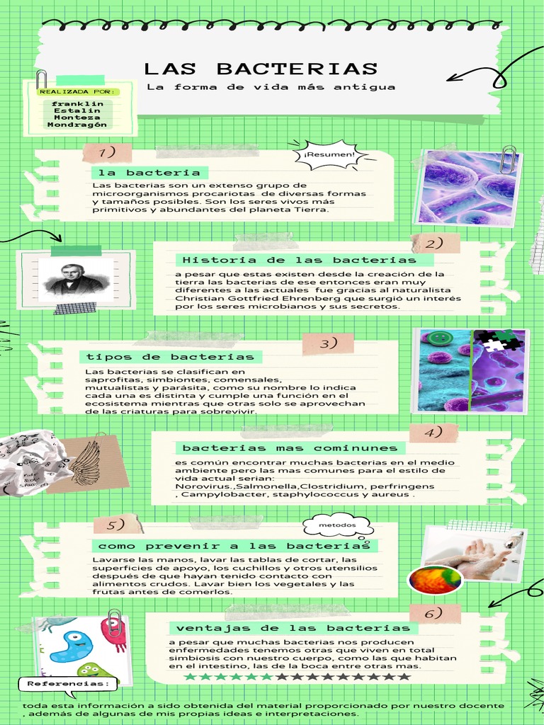 Las Bacterias | PDF | Las bacterias | Simbiosis