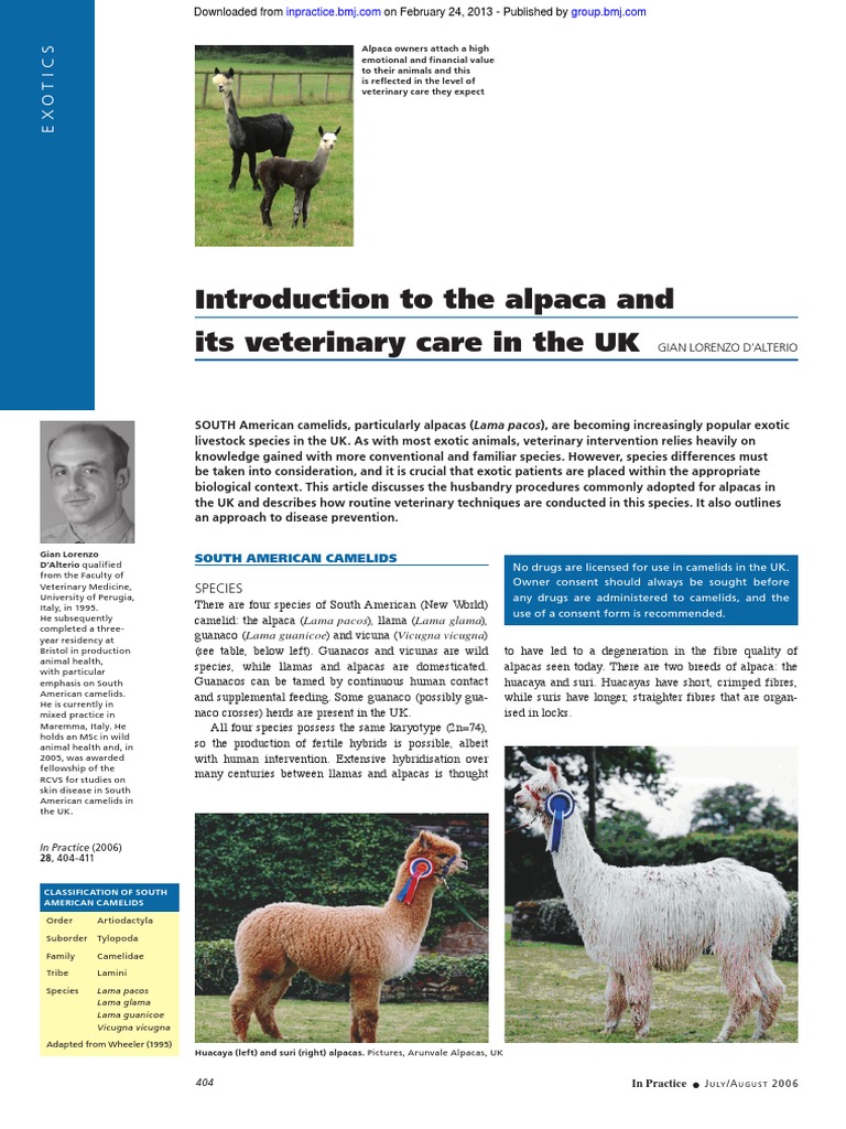Introduction To The Alpaca and | PDF