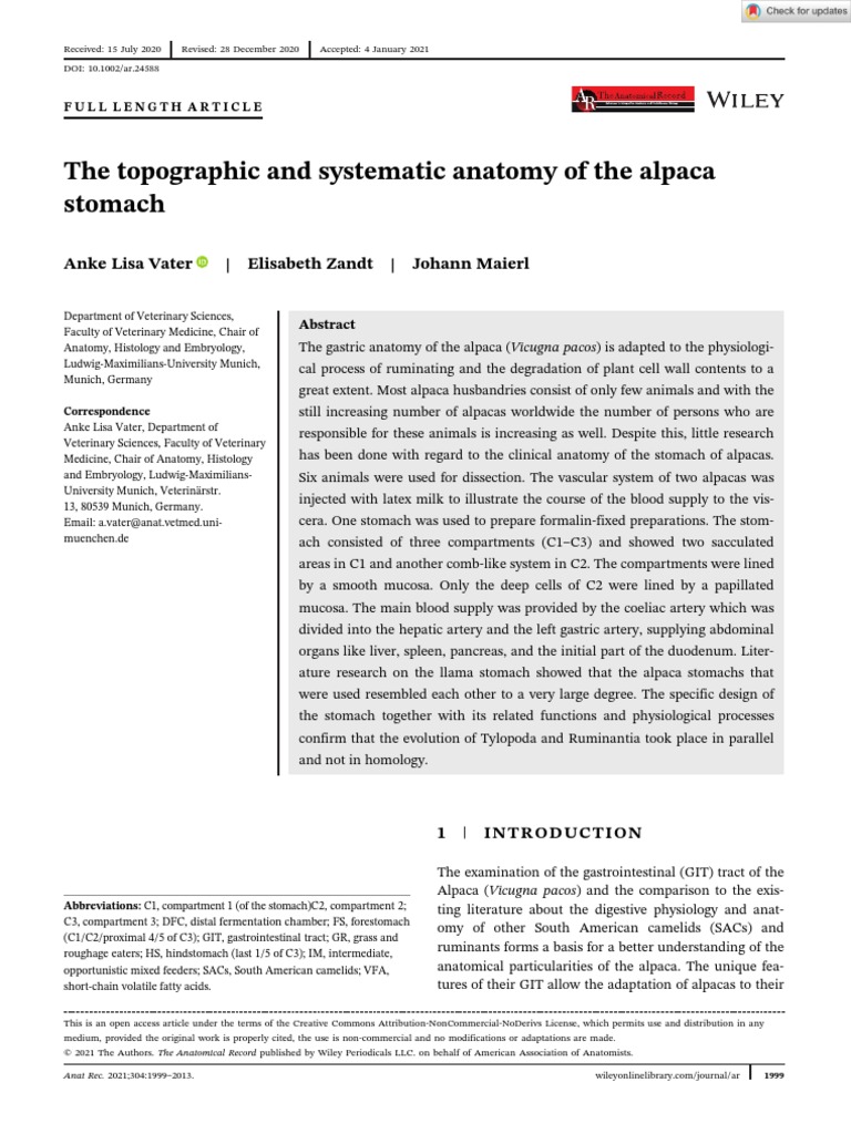 The Anatomical Record - 2021 - Vater - The Topographic and Systematic ...