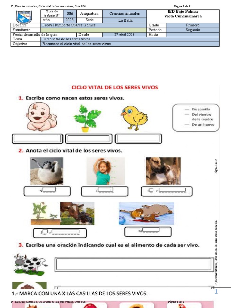 1° Ciencias Naturales Ciclo Vital de Los Seres Vivos 27 Abril 2023 Guia ...