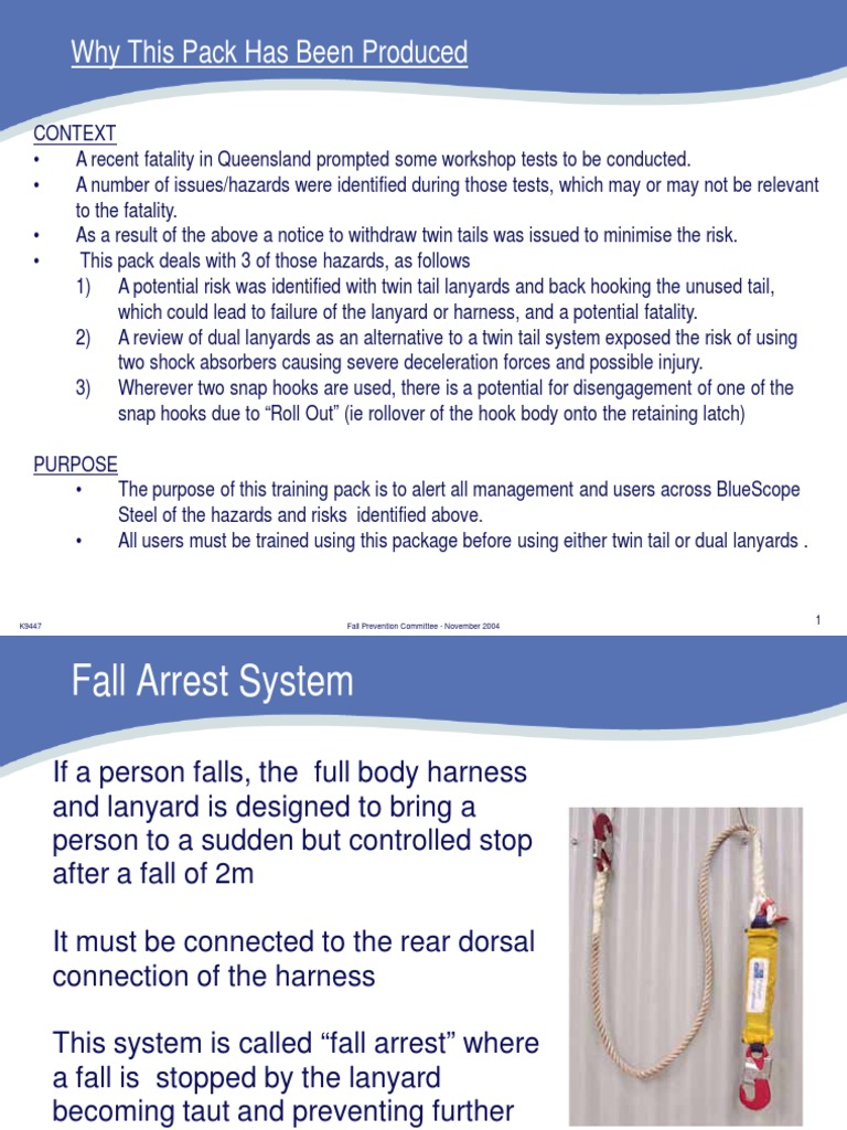 Fall Prevention Safety Guide 2004 | PDF | Force | Manufactured Goods