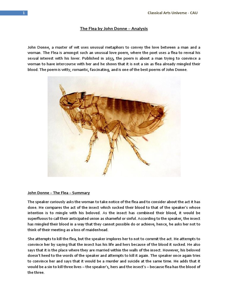 Analysis of John Donne's The Flea | PDF | Poetry