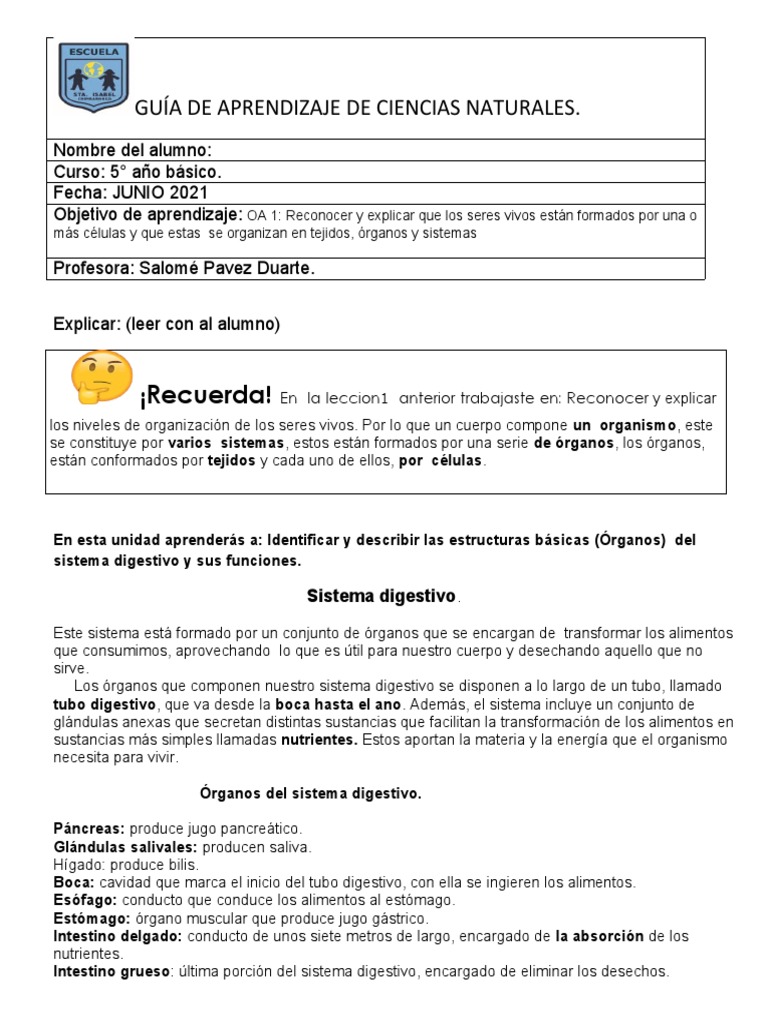 GUÍA 5° Año OA.1 JULIO SISTEMA DIGESTIVO CIENCIAS | PDF