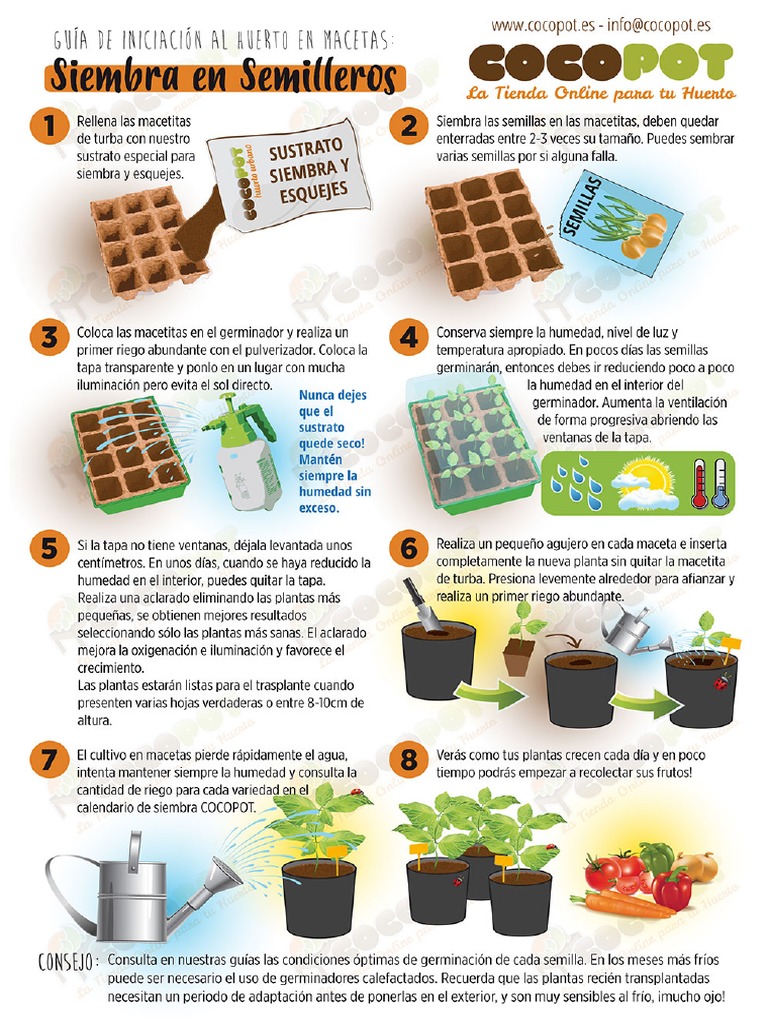 Guia Siembra Semilleros | PDF