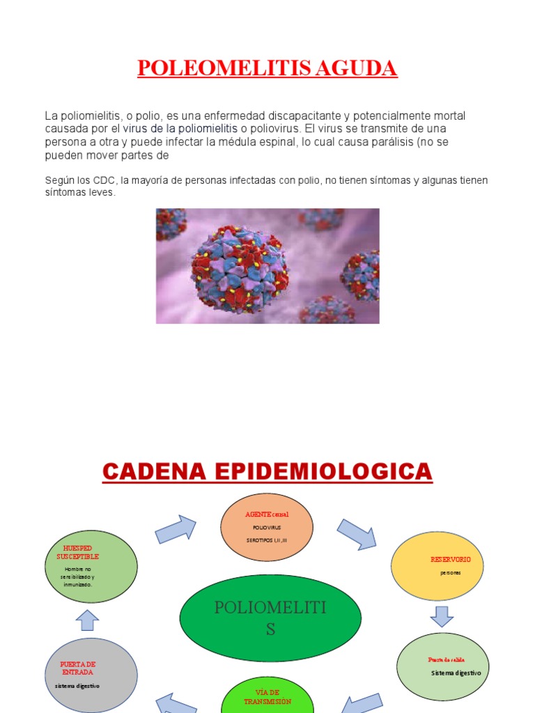 Poliomielitis: Causas, Síntomas y Tratamiento | PDF