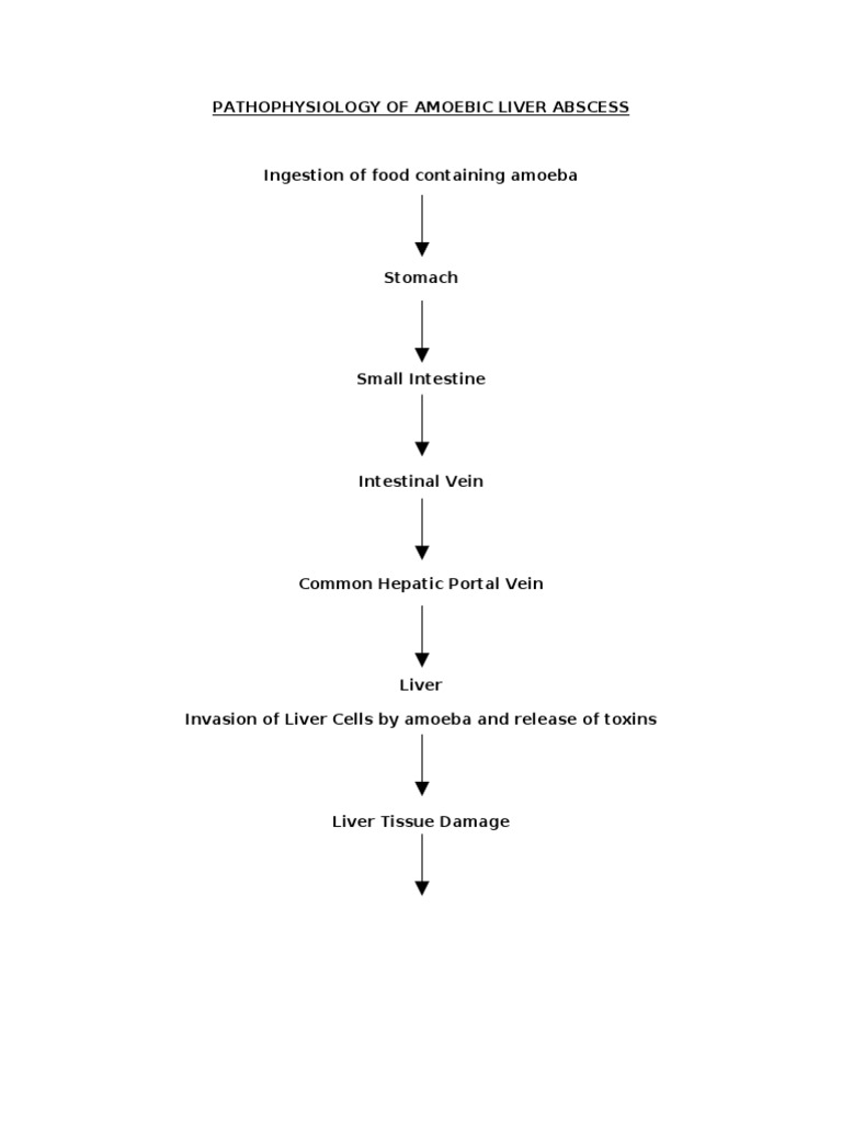 Pathophysiology of Amoebic Liver Abscess | PDF