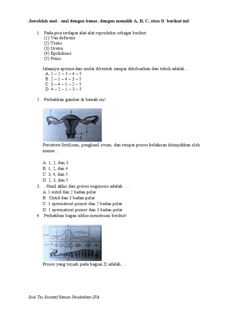 Soal Ipa Us Fix SMP | PDF