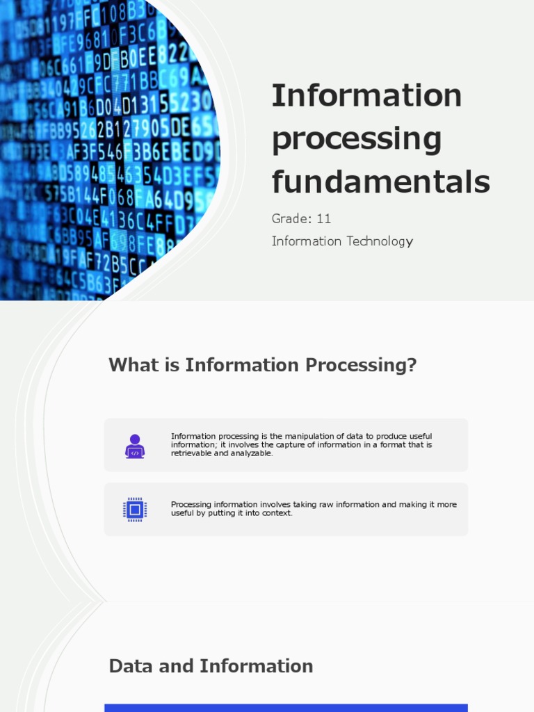 Information Processing Basics for IT Students | PDF | Information | Data