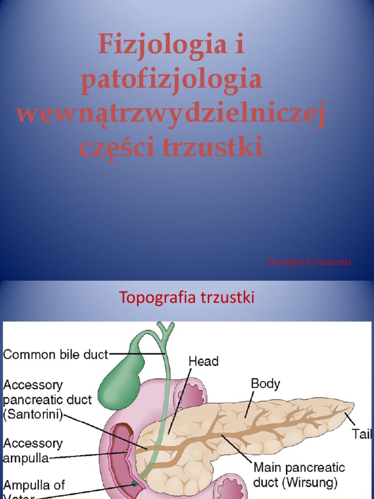 Trzustka Wewnątrzwydzielnicza | PDF