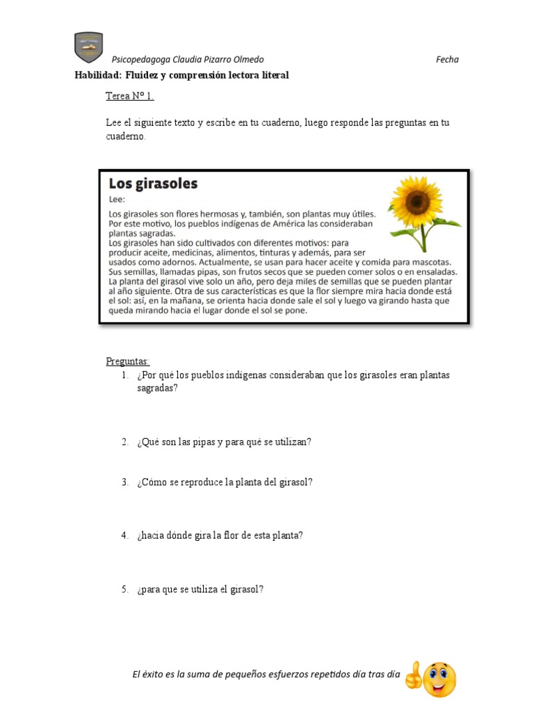 Act Comprensión Lectora | PDF | Hogar, jardinería y bricolaje