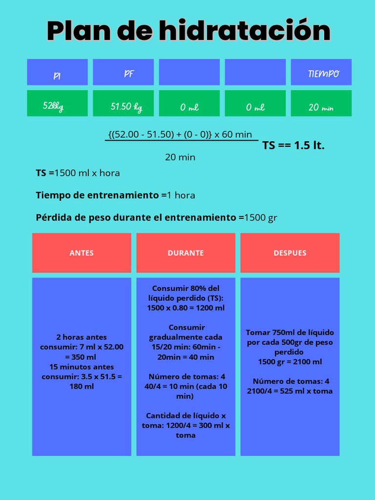 Plan de Hidratación PDF | PDF