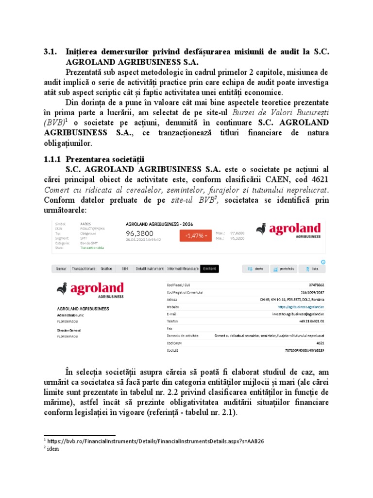 Raport Audit Model 2023 | PDF