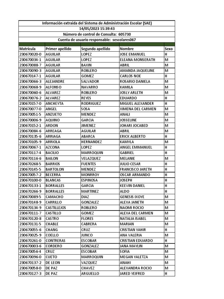 Fichas Sae 2023 | PDF