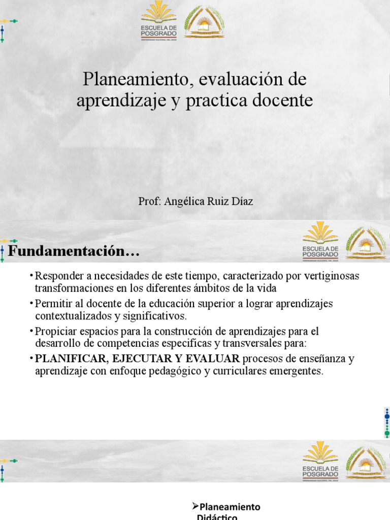 Presentacion Planeamiento, Evaluación de Aprendizaje y Practica Docente | PDF