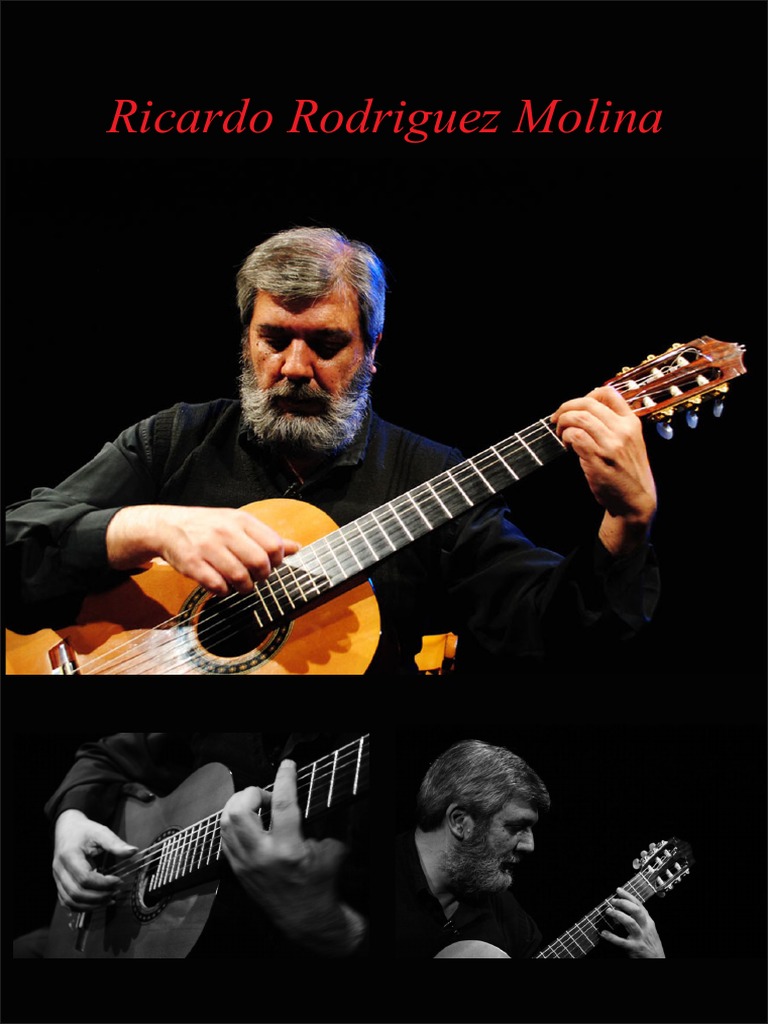 Curriculum Vitae Ricardo Rodriguez Molina | PDF