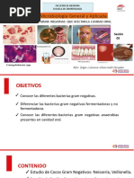 Línea Del Tiempo de La Microbiología - 20250122 - 231540 - 0000 | PDF | Microbiología | Adn