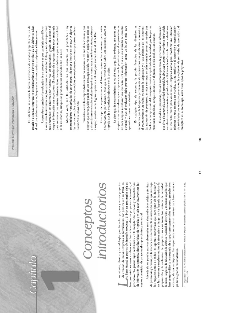 Proyectos de Inversion - 2 Paginas - CAP 1 | PDF