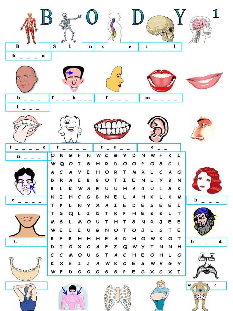 Body Wordsearch 1 Wordsearches - 61030 | PDF | Human Anatomy | Human ...