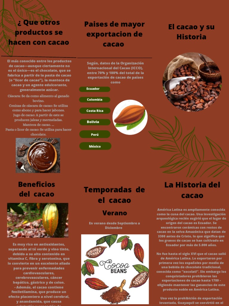 El Cafe Y Su Historia Pdf Chocolate Nutrición