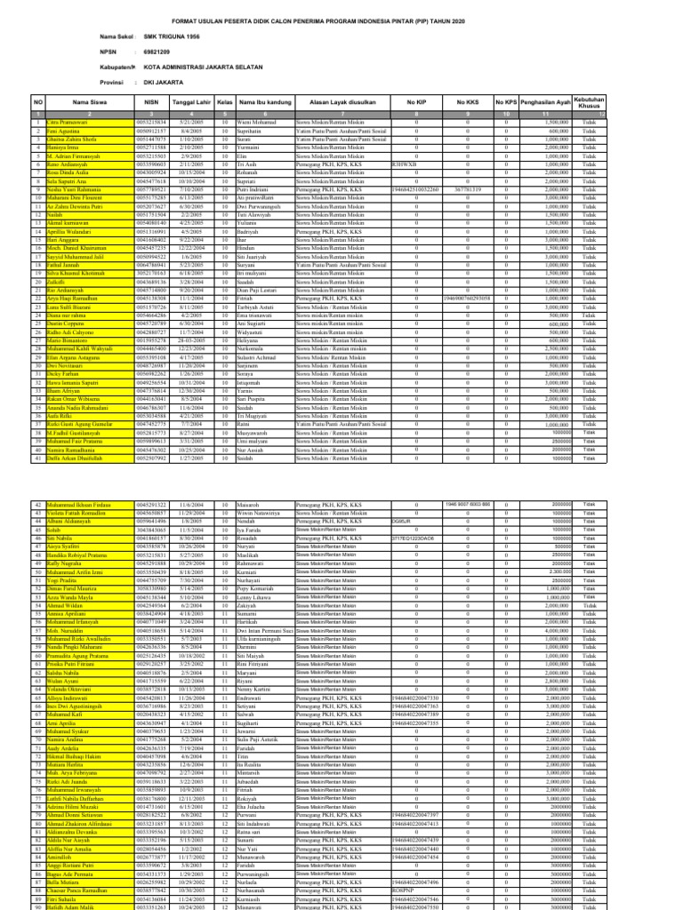 Format Excel Pip 2020 Kirim | PDF