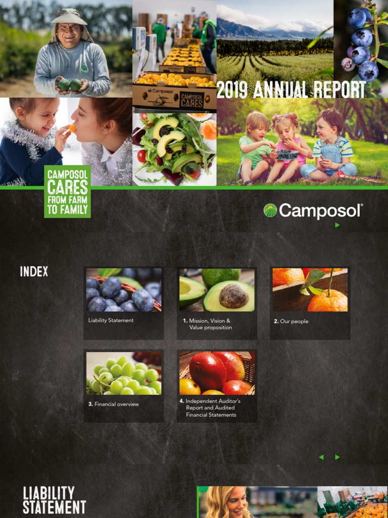 Camposol Annual Report 2019 | PDF | Equity (Finance) | Income