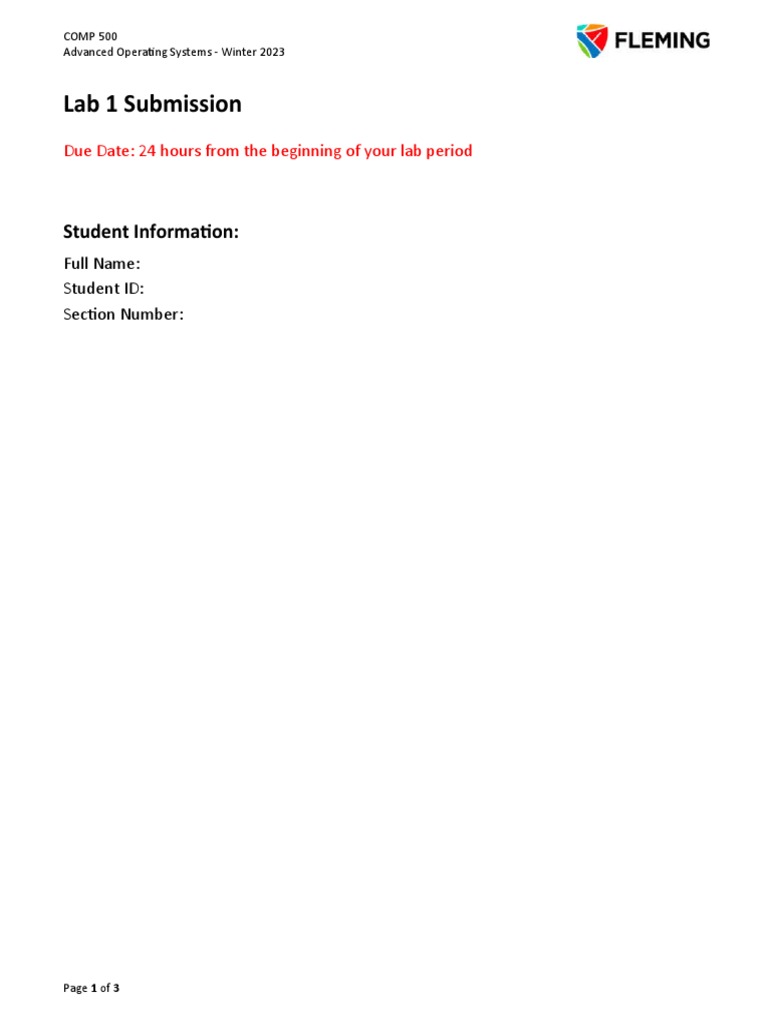 COMP 500 Lab 1 Submission Template | PDF | Operating System | Rubric ...